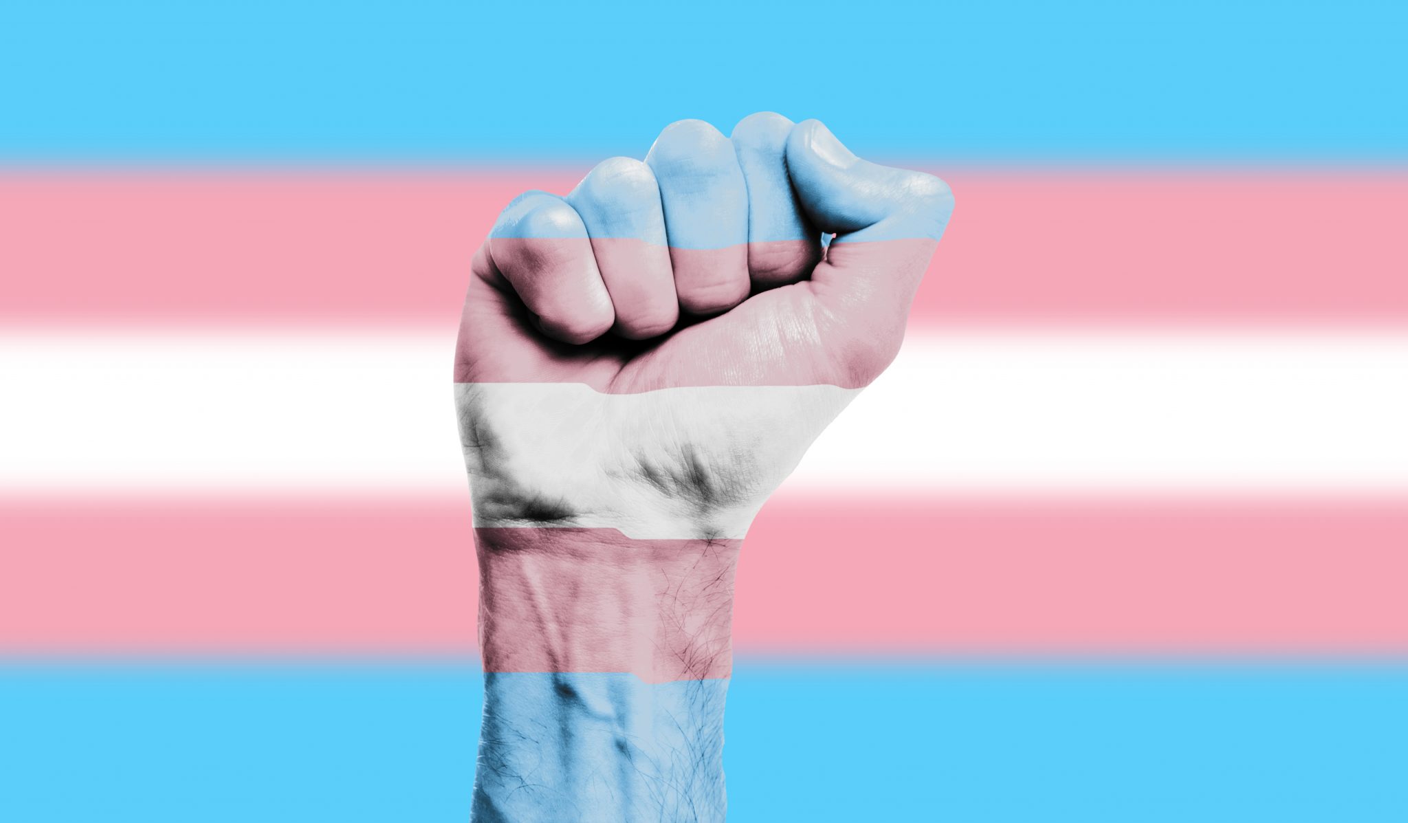 🏳️‍⚧️ Trans Flag Emoji: Show Support For The Transgender Community | 🏆 ...