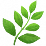 Weed Emoji 🌿 Substitutes For The Cannabis Users 🍃 | 🏆 Emojiguide